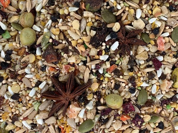 VERSELE-LAGA Goldenfeast South American Blend Conure & Cockatiel Bird ...