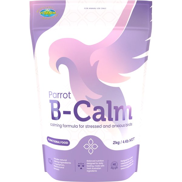 MORNING BIRD Calcium Plus Bird Supplement, 16-fl oz bottle - Chewy.com