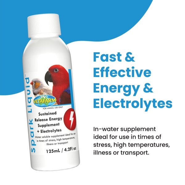 VETAFARM Spark Liquid Concentrate Bird Supplement, 4.2-oz bottle - Chewy.com