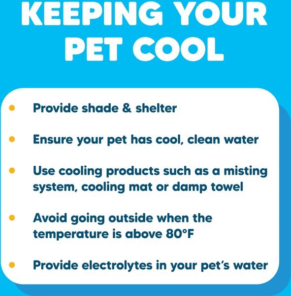 VETAFARM Spark Liquid Concentrate Bird Supplement, 4.2-oz bottle ...