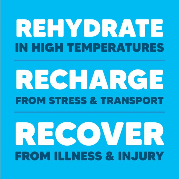 VETAFARM Spark Liquid Concentrate Bird Supplement, 4.2-oz bottle ...