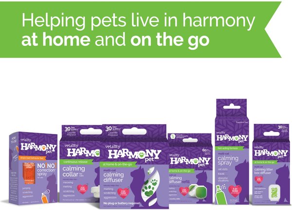 VETALITY Harmony Pet Calming Home Diffuser for Cats - Chewy.com