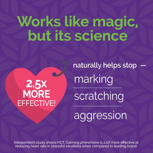 VETALITY Harmony Pet Calming Home Diffuser for Cats - Chewy.com