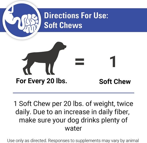 VETCLASSICS No Scoot Anal Gland Function Support Soft Chews Dog ...