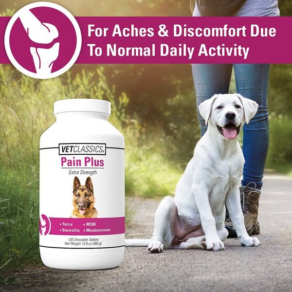 VETCLASSICS Pain Plus Extra Strength Chewable Tablets Dog Supplement ...