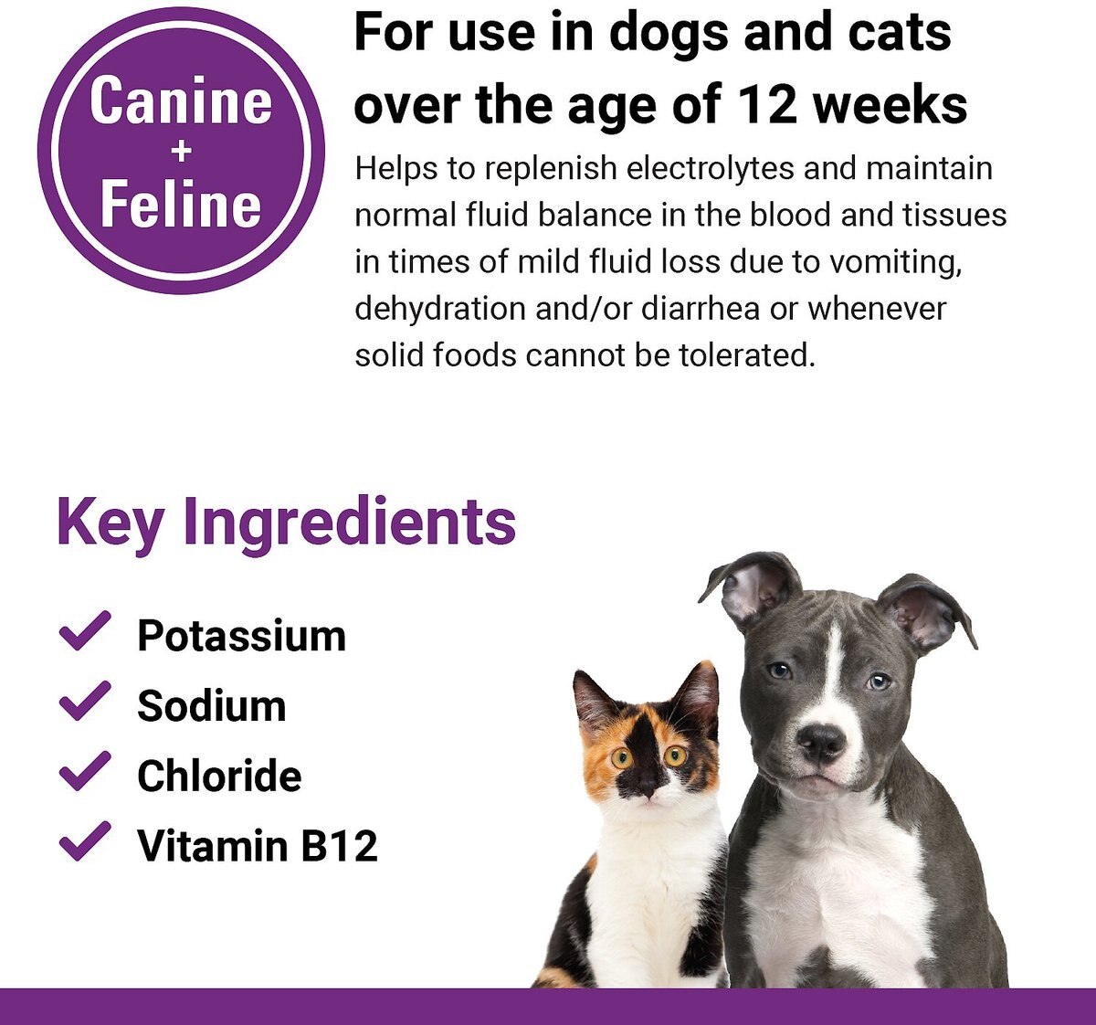 VETCLASSICS Pet-A-Lyte Oral Electrolyte Solution Dog & Cat Supplement ...