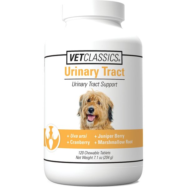 VETCLASSICS Incontinence Support Chewable Tablets Dog Supplement, 120 ...