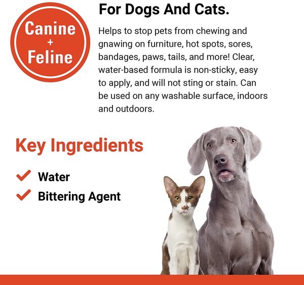 VETCLASSICS YUCK! No Chew Dog & Cat Spray, 8-fl oz bottle - Chewy.com