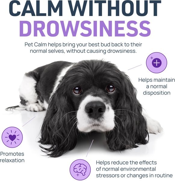 Discontinued - VETERINARY FORMULA SMART VITALITY Pet Calm Pork Flavored ...