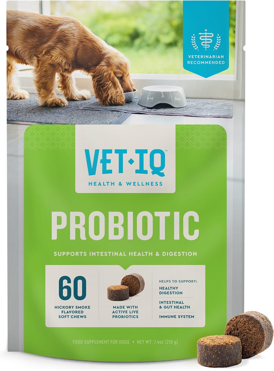 VETIQ Probiotic Soft Chew Supplement for Dogs, 60 count - Chewy.com