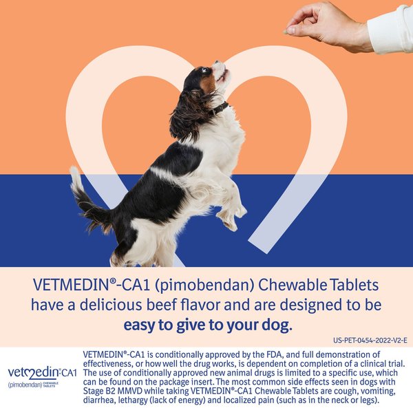 VETMEDIN-CA1 (pimobendan) Chewable Tablets for Dogs, 5-mg, 50 tablets ...