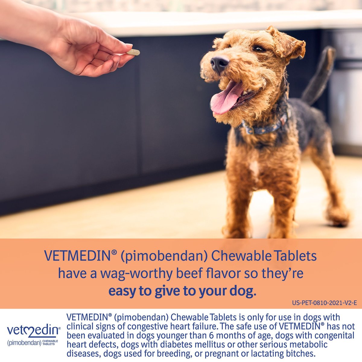 VETMEDIN (pimobendan) Chewable Tablets for Dogs, 50 tablets, 10-mg ...