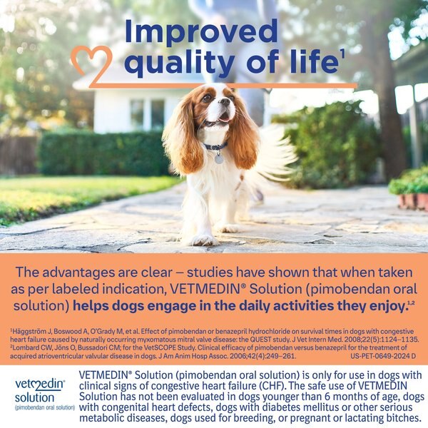 VETMEDIN (pimobendan) Solution for Dogs, 1.5 mg/mL, 50 mL - Easy ...