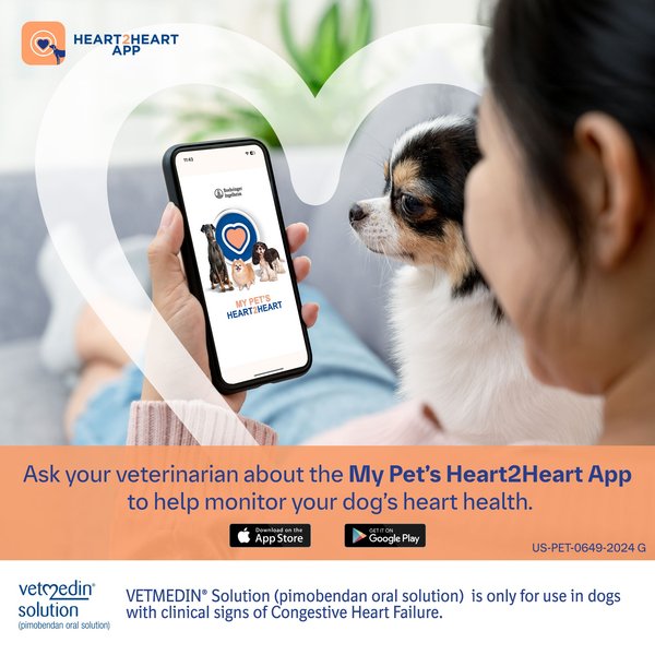 VETMEDIN (pimobendan) Solution for Dogs, 1.5 mg/mL, 50 mL - Easy ...