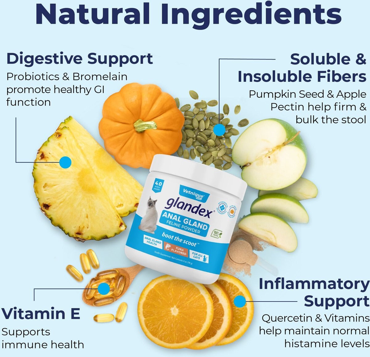 VETNIQUE LABS Glandex Feline Anal Gland Support Probiotic & Digestion ...