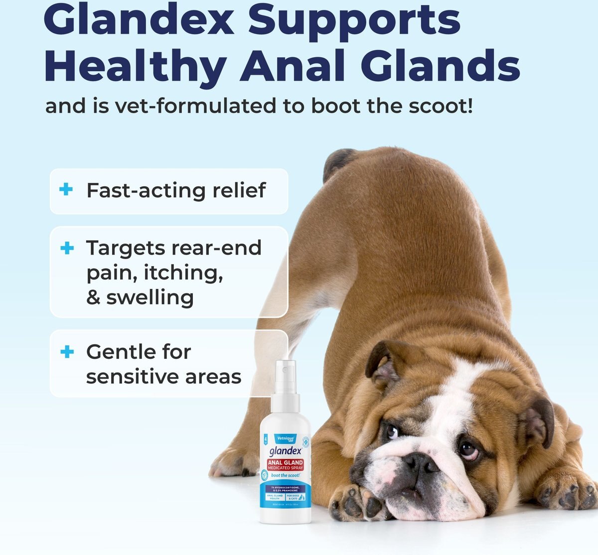 VETNIQUE LABS Glandex Medicated Anal Gland Pain Relieving Anti-Itch Dog ...