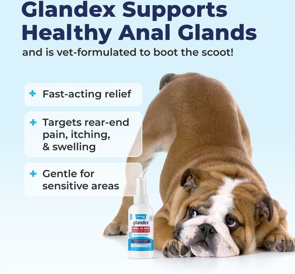 VETNIQUE LABS Glandex Medicated Anal Gland Fast Acting in Pain ...