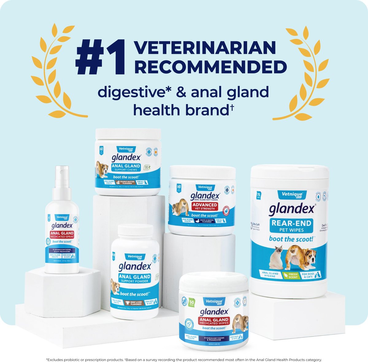 VETNIQUE LABS Glandex Medicated Anal Gland Fast Acting in Pain ...