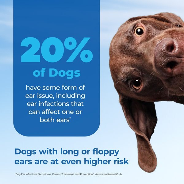 VETNIQUE LABS Oticbliss Anti-Bacterial & Anti-Fungal Dog & Cat ...