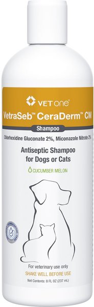 VETONE VetraSeb CeraDerm CM Dog & Cat Shampoo, 8-fl oz bottle - Chewy.com