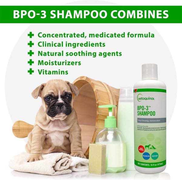 VETOQUINOL BPO-3 Shampoo for Dogs & Cats, 1-gal bottle - Chewy.com