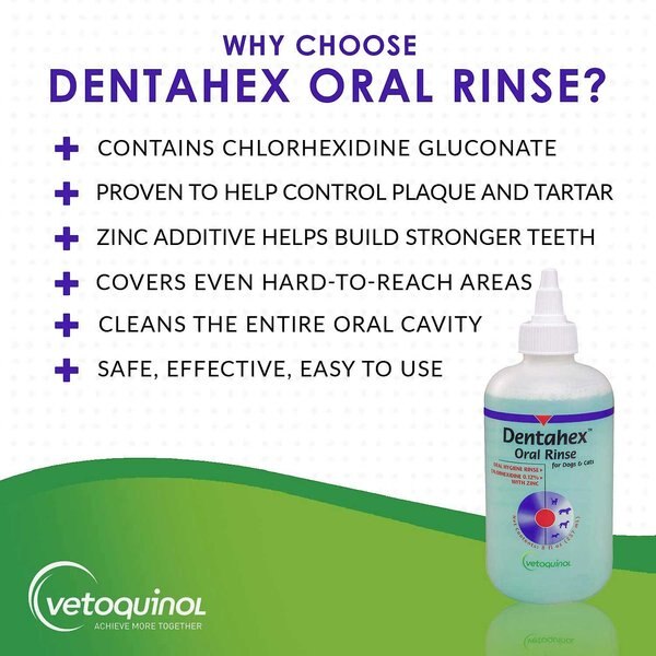 VETOQUINOL Dentahex Dog & Cat Dental Rinse, 8-fl oz bottle - Chewy.com