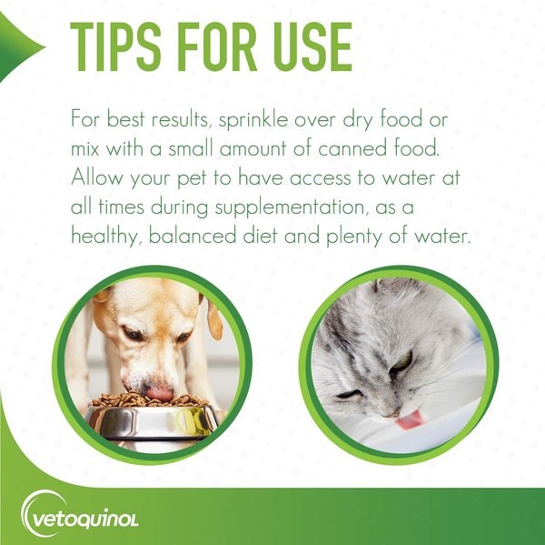 Vetoquinol Epakitin Supplement for Dogs & Cats (Free Shipping) | Chewy