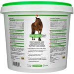 EQUILITE HERBALS FlyAway Garlic Immune System Support Powder Horse ...
