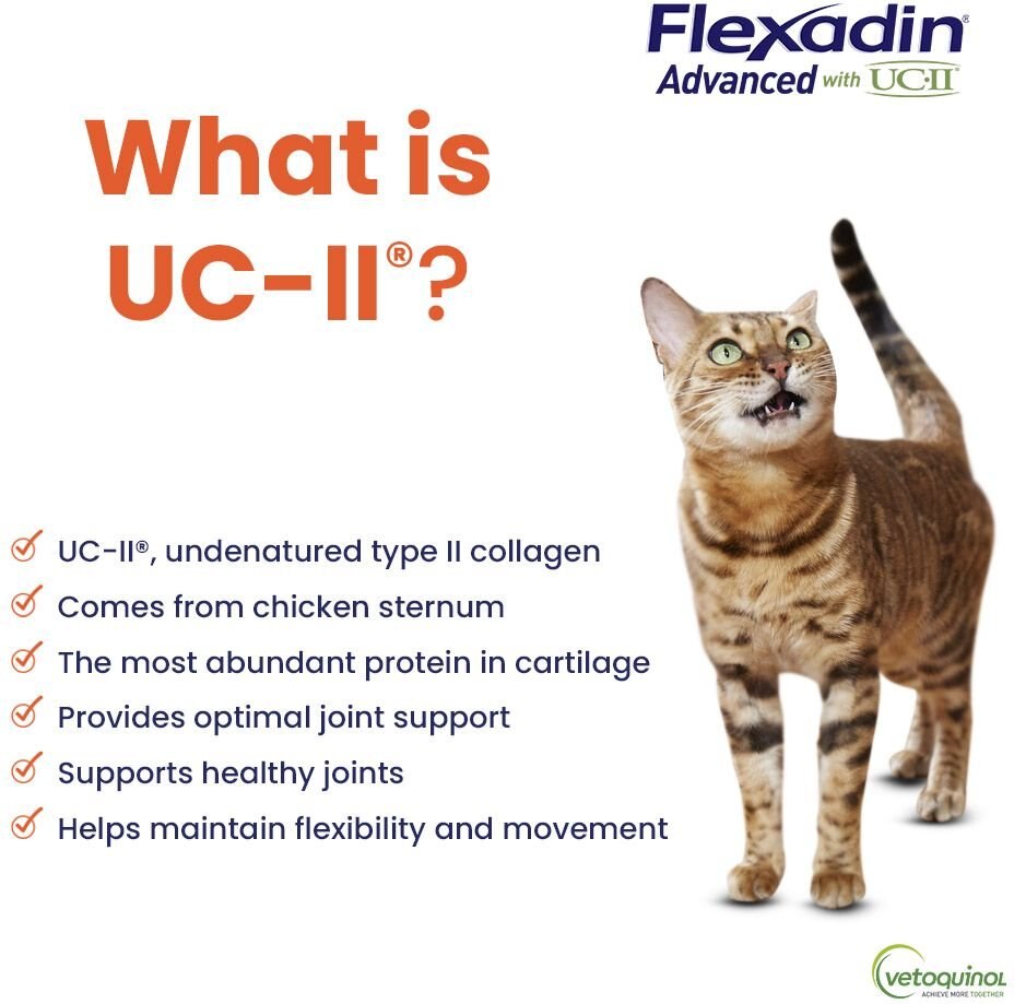 VETOQUINOL Flexadin with UCII Cat Supplement, 1.59-oz bag, 30 count ...