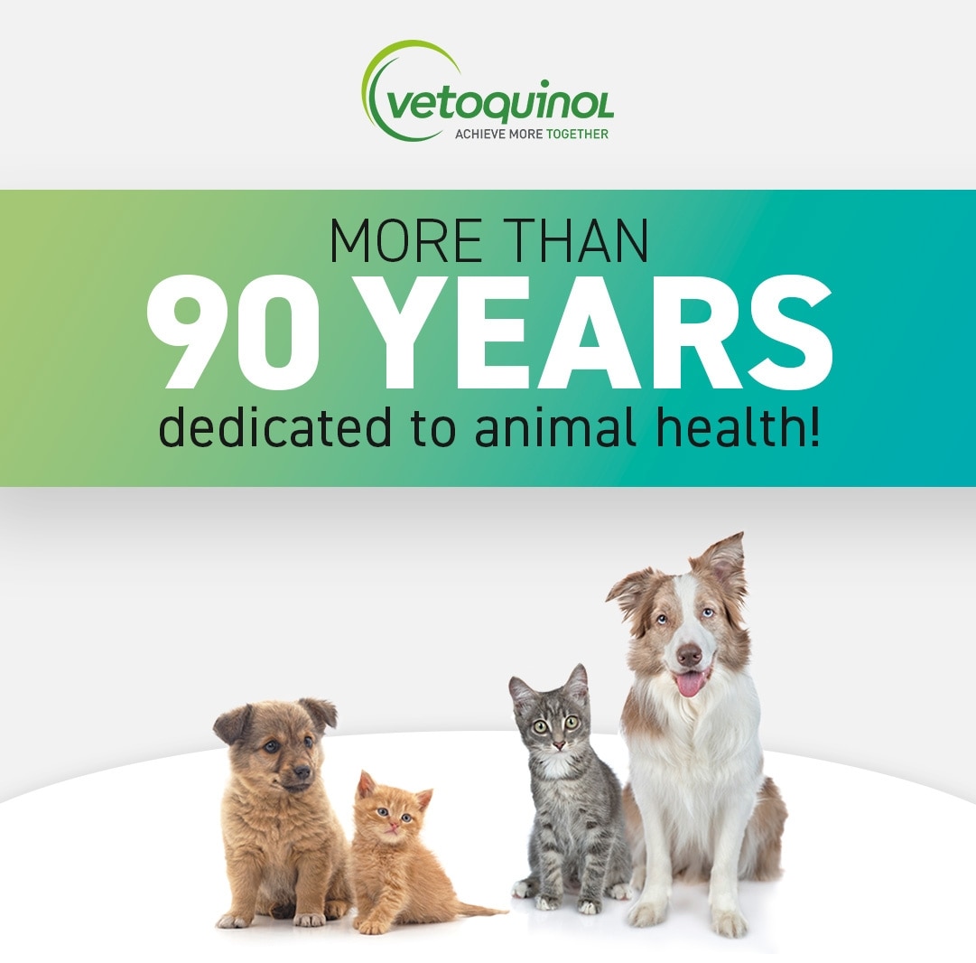 VETOQUINOL Pro-Pectalin Diarrhea Supplement for Dogs & Cats, 60 count ...