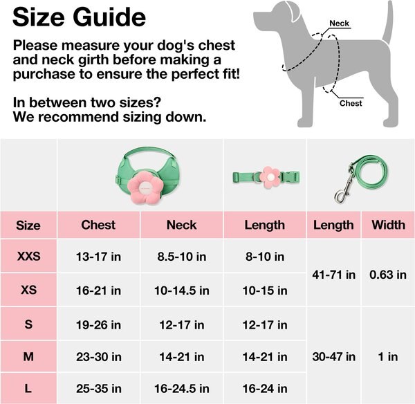VETRESKA 3-in-1 Flora Dog Backpack & Harness Set, Pink/Green, Large: 25 to 35-in chest - Chewy.com