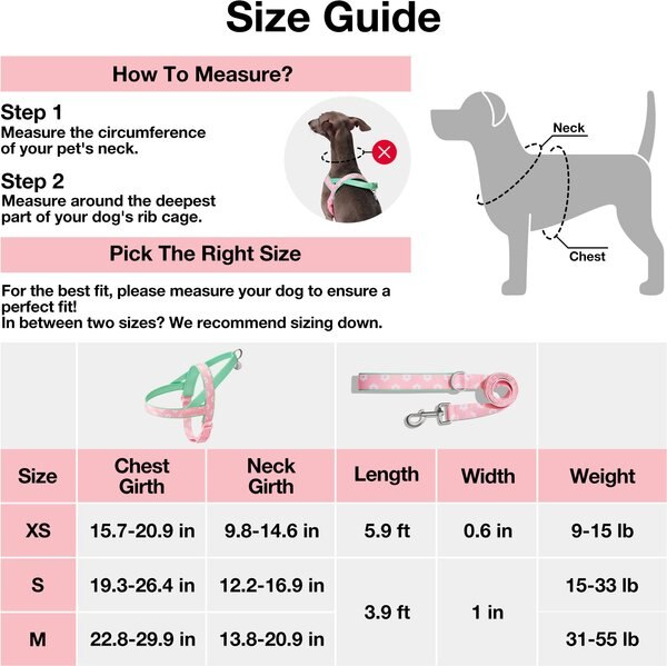 VETRESKA Flora Dog Harness & Leash Set, Pink/Green, Small: 19 to 26-in ...