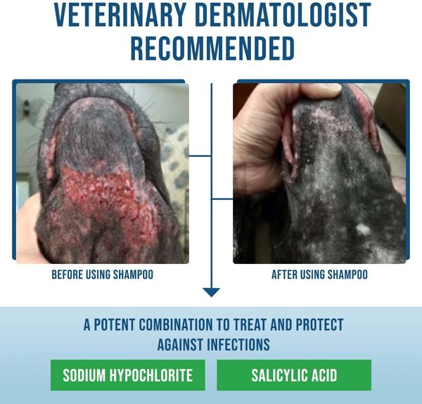 VETRIMAX Command Deep-Cleansing Dog & Cat Shampoo, 12-fl oz bottle ...