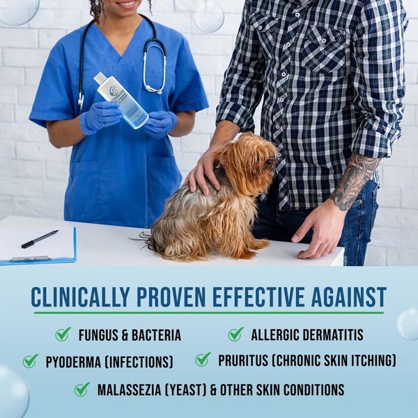 VETRIMAX Command Deep-Cleansing Dog & Cat Shampoo, 12-fl oz bottle ...