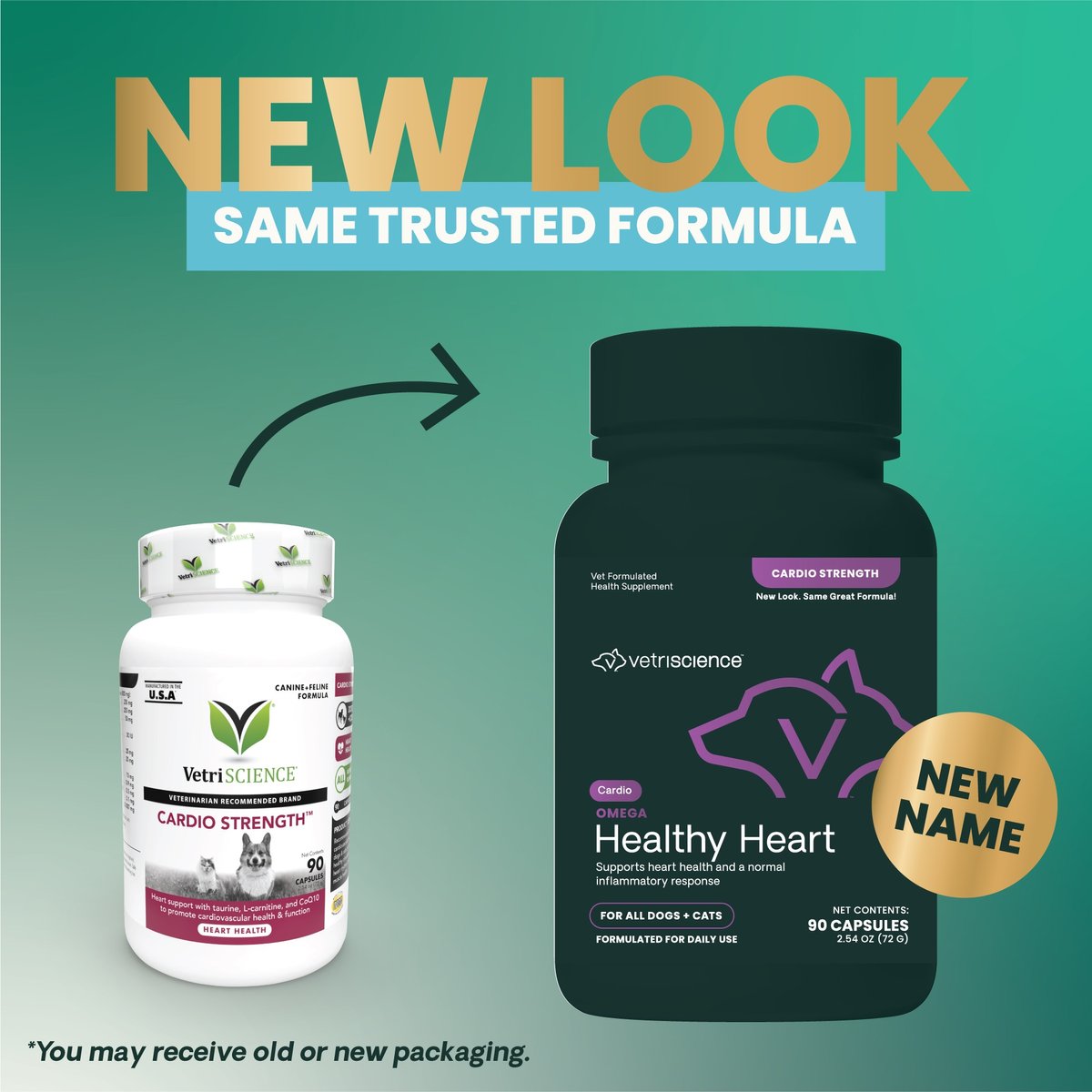 VETRISCIENCE Cardio Strength Capsules Heart Supplement for Cats & Dogs ...