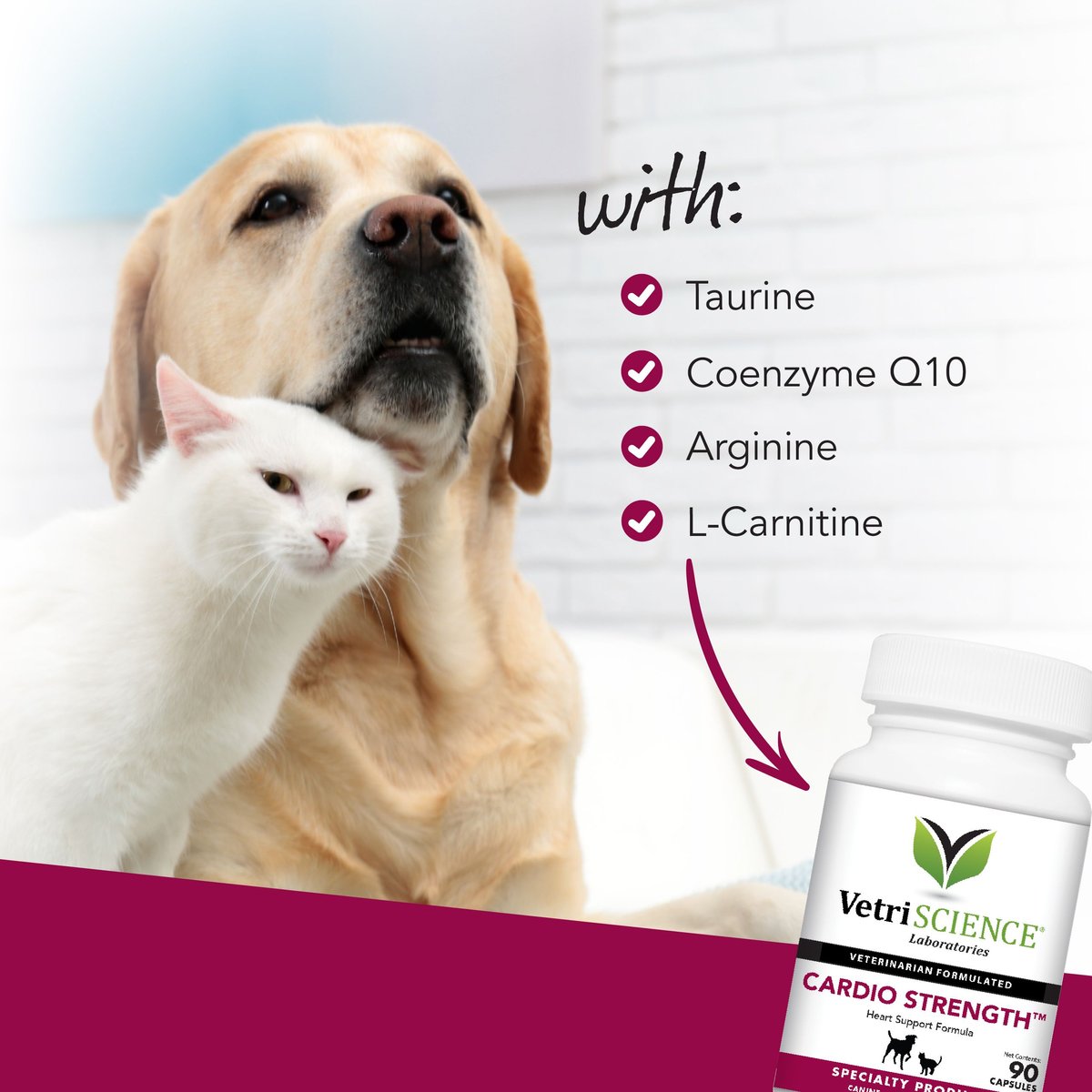 VETRISCIENCE Cardio Strength Capsules Heart Supplement for Cats & Dogs ...