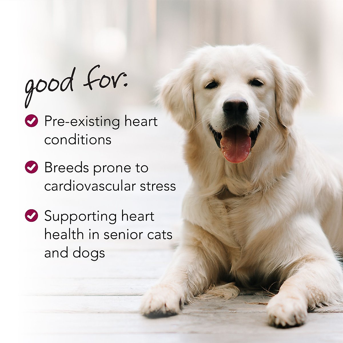 VETRISCIENCE Cardio Strength Capsules Heart Supplement for Cats & Dogs ...