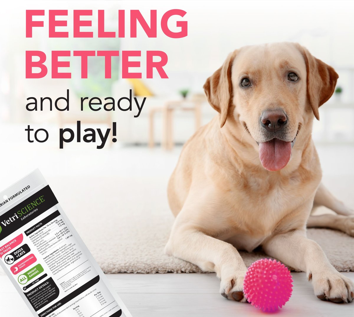 VETRISCIENCE Fast Balance G.I. Paste Medication for Digestive Issues ...