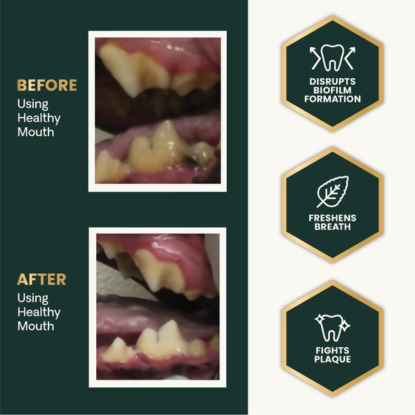 VETRISCIENCE Perio Support Healthy Mouth Clinically Tested Dental ...