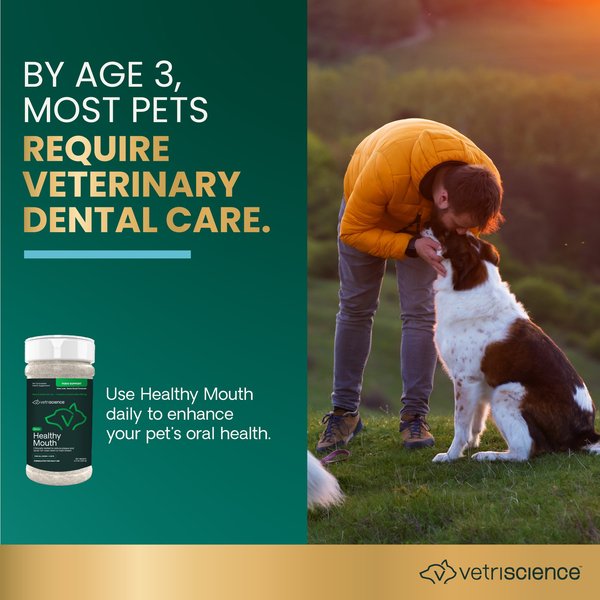 VETRISCIENCE Perio Support Healthy Mouth Clinically Tested Dental ...