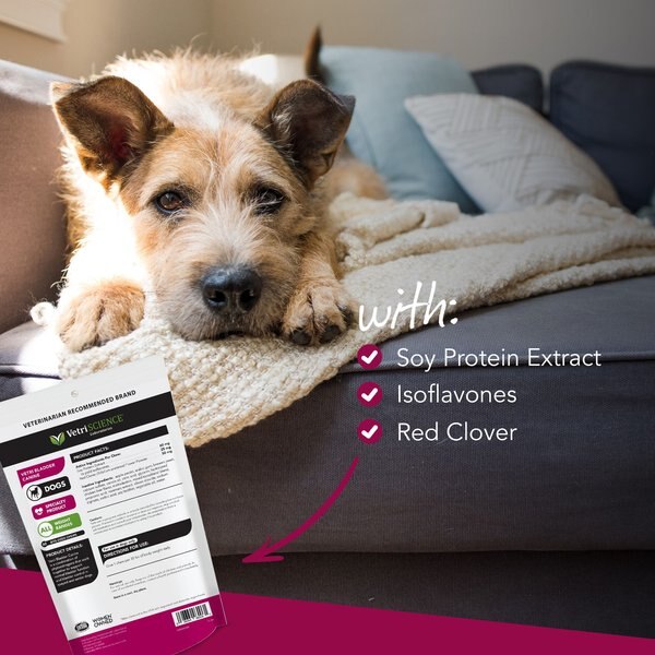 VETRISCIENCE Vetri Bladder Soft Chews Urinary Supplement for Dogs, 60 ...