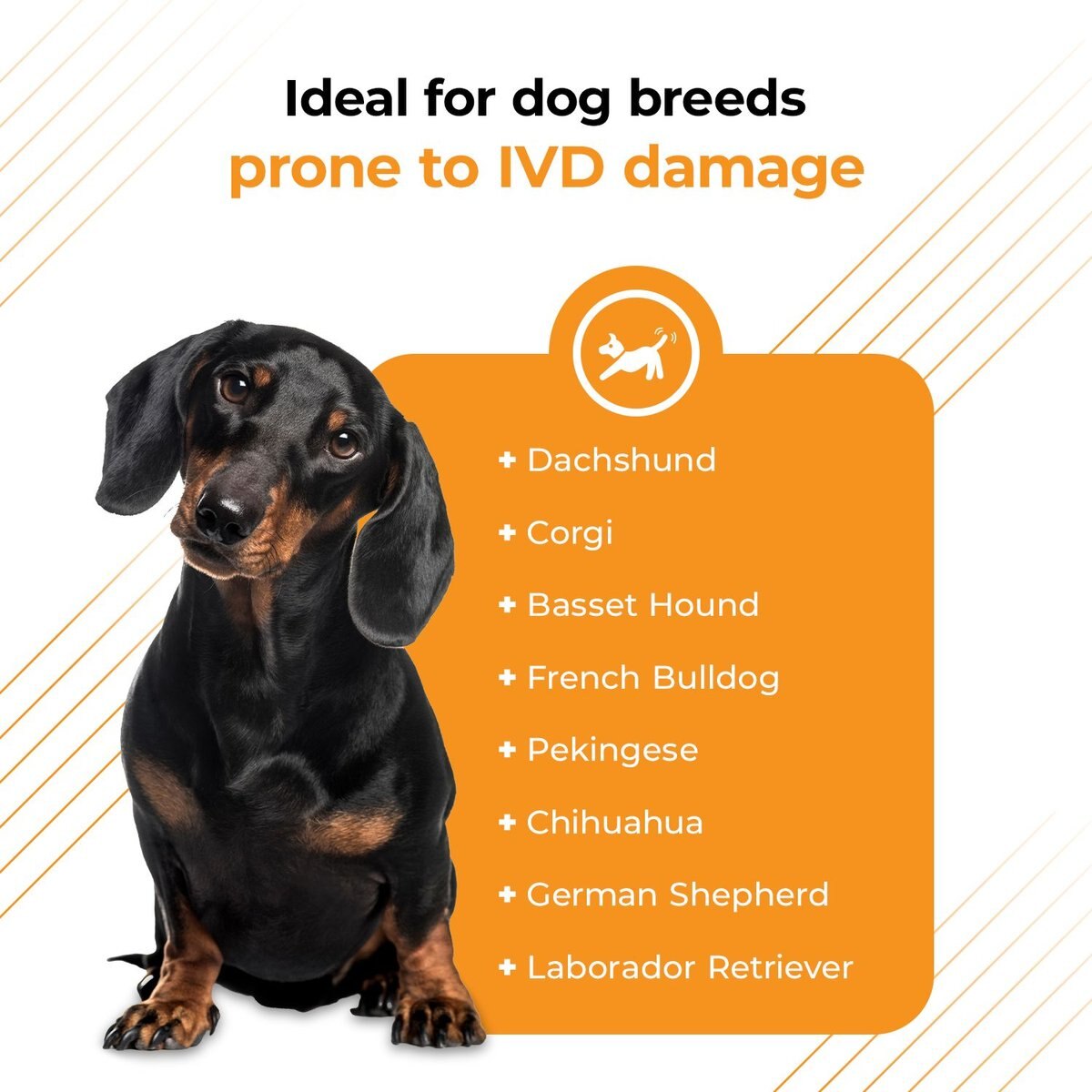 VETRISCIENCE Vetri Disc Capsules Joint Supplement for Dogs, 180 count ...