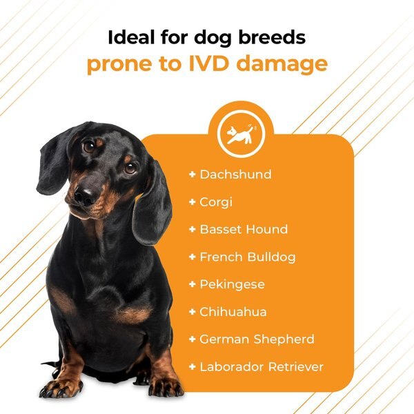 VETRISCIENCE Vetri Disc Capsules Joint Supplement for Dogs, 180 count ...