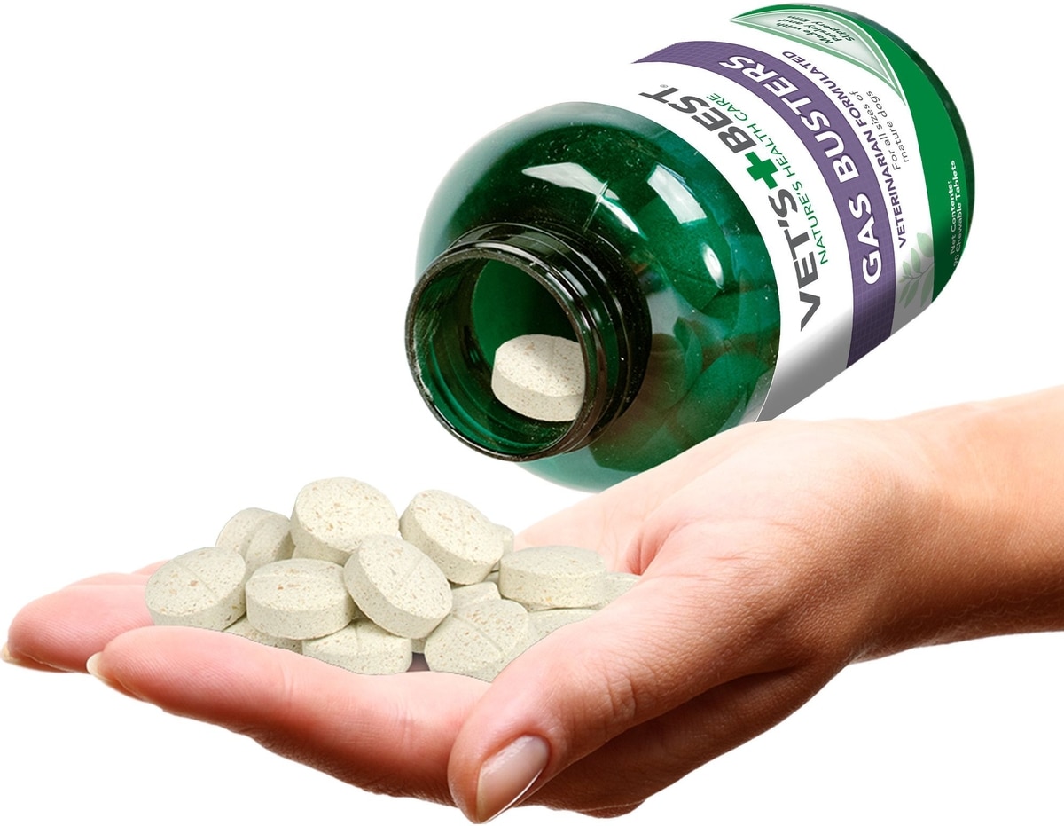 VET'S BEST Gas Busters Chewable Tablets Digestive Supplement for Dogs ...
