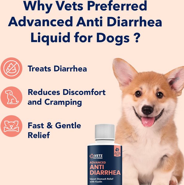 VETS PREFERRED Advanced Medication for Diarrhea for Dogs, 8-fl oz ...