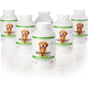 VETSMART FORMULAS Critical Immune Defense Mushroom & Turmeric Compound ...