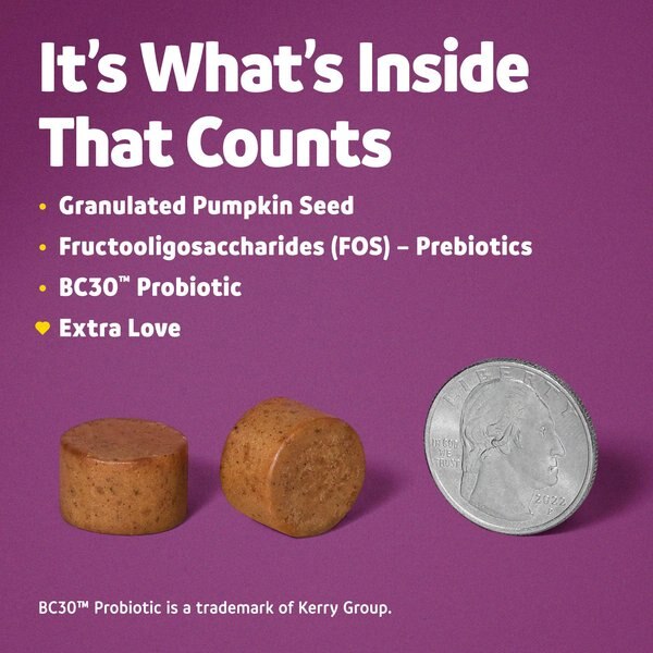 New Version Available - VIBEFUL Probiotic Bites Pumpkin Flavored Soft ...