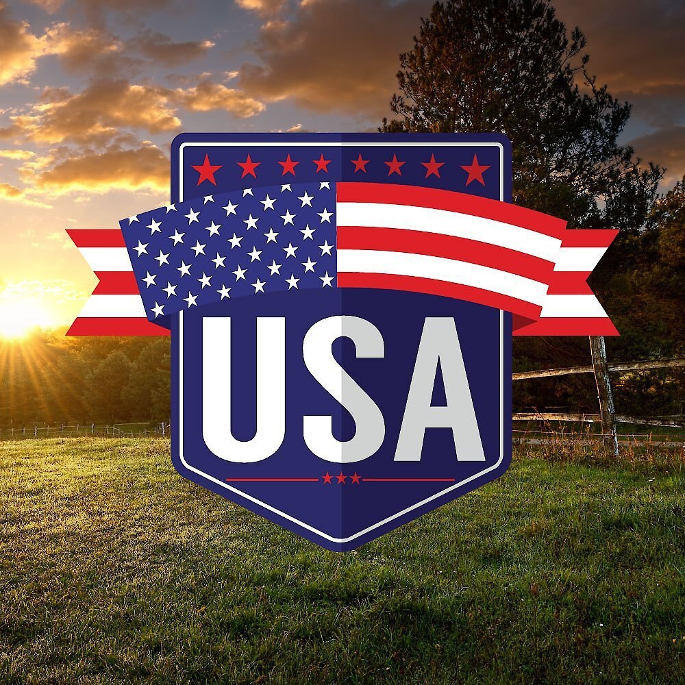 VICTOR Chicken & Rice Formula Pate Wet Dog Food or Topper, 13.2-oz ...