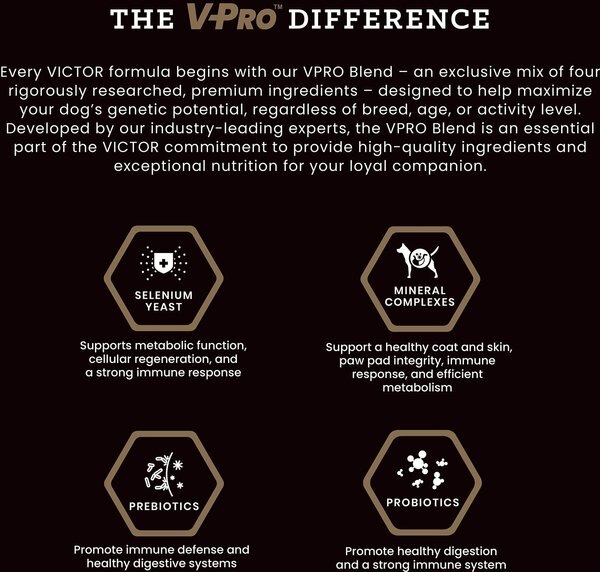 VICTOR Classic Hi-Pro Plus Formula Dry Dog Food, 40-lb bag - Chewy.com