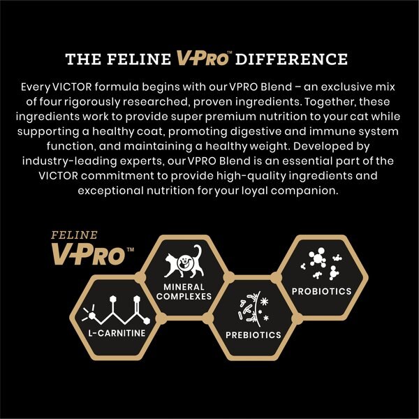 VICTOR Hi-Pro Plus Active Cat & Kitten Ocean Fish Recipe High Protein ...